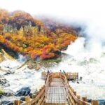 Noboribetsu and Toya Full Day Tour - Practicalities and Value