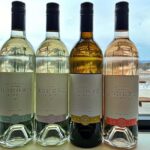 NON BUS Sunday Funday Traverse City Old Mission Wine Tour - The Itinerary: What Makes Each Stop Special?