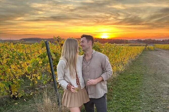 Non Bus Traverse City Leelanau Peninsula Sunset Wine Tour - Why You’ll Appreciate This Tour