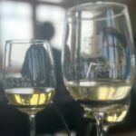 NON BUS VIP GMC Yukon Traverse Old Mission Peninsula Wine Tour - Final Thoughts