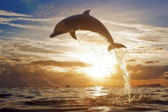 North Bali Sunrise Tour With Dolphins, Instagram Wanagiri & Waterfalls - What Does This Tour Mean for You?