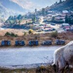 North Sikkim 6 Days Tour - What Travelers Say: Authentic Feedback and Insights