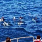 Northern Taiwan (Taipei, New Taipei City, Yilan County) 3-Day Tour - FAQ