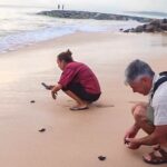 Norwood City to Colombo Airport (CMB) Private Transfer - Deep Dive into the Experience