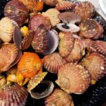 Noryangjin Fish Market Dinner - The Practical Details