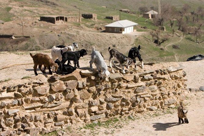 Nuratau home stay observe and live the Uzbek rural life - Detailed Breakdown of the Itinerary