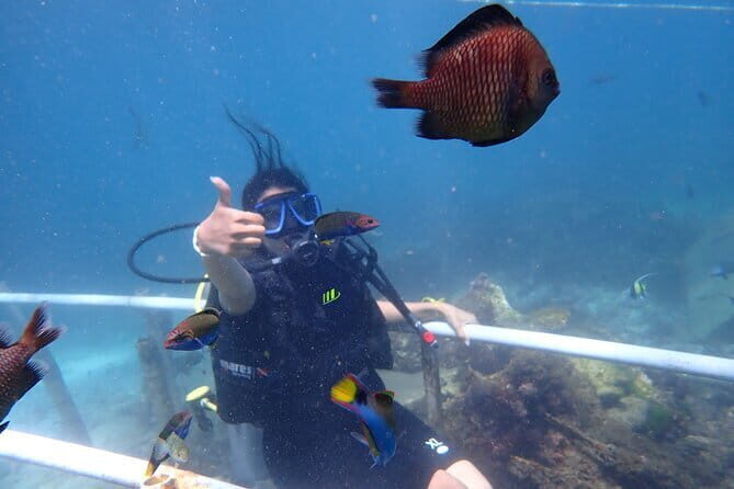 Nusa Dua Marine Parasailing Adventure,Tubing Ride and Diving Experience - Who Will Love This Experience?