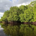 Nusa Lembongan Island: Snorkeling & Mangrove Forest Day Tour - The Itinerary: A Deeper Look