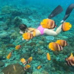 Nusa Lembongan Snorkeling with Manta Bay & Island Tour from Bali - Who Will Love This Tour?