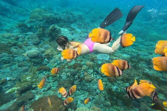 Nusa Lembongan Snorkeling with Manta Bay & Island Tour from Bali - Who Will Love This Tour?
