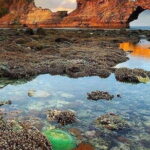 Nusa Penida All-Inclusive Day Trip - The Authentic Experience and Visitor Feedback