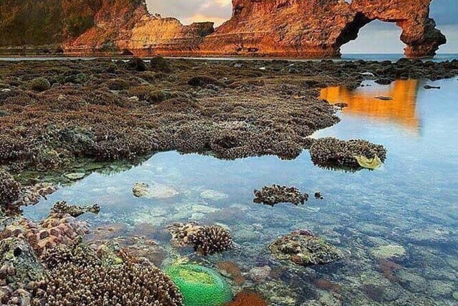 Nusa Penida All-Inclusive Day Trip - The Authentic Experience and Visitor Feedback