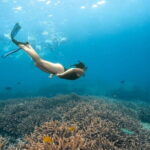 Nusa Penida Day Trip with Snorkeling Package - Who Should Consider This Tour?