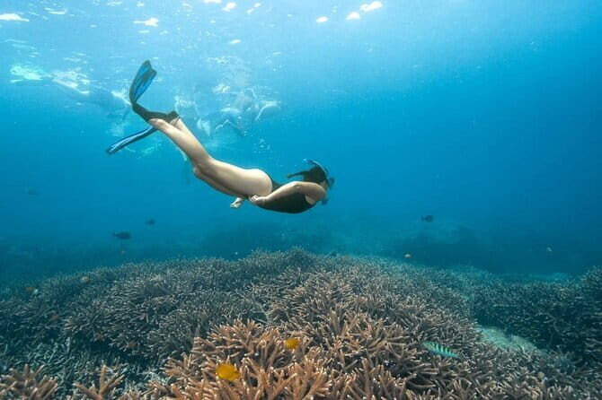 Nusa Penida Day Trip with Snorkeling Package - Who Should Consider This Tour?