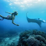 Nusa Penida Private Snorkeling and Land Tour Start from Bali - Deep Dive into the Itinerary