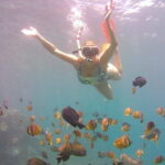 Nusa Penida Private Snorkeling Tour with West Island Trip - Who Is This Tour Best For?