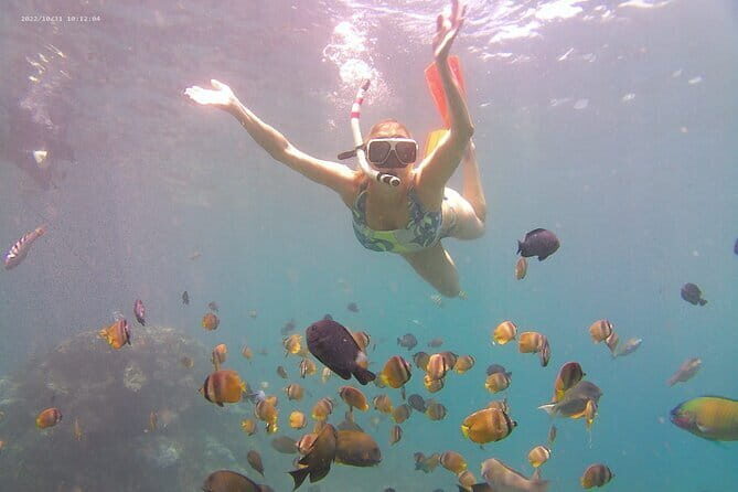 Nusa Penida Private Snorkeling Tour with West Island Trip - Who Is This Tour Best For?