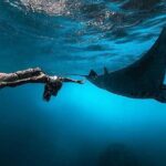 Nusa Penida Snorkeling Adventure (Private & All-Inclusive) - Snorkeling at Manta Bay & Other Spots