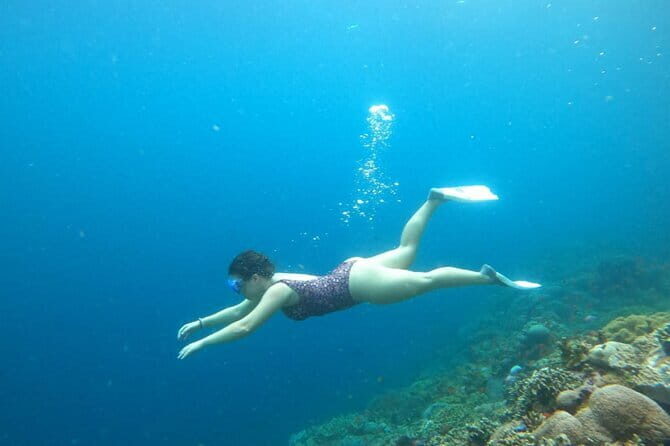 Nusa Penida Snorkeling in Manta Point Gamat Bay and Wall - What the Tour Includes and What to Expect