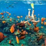 Nusa Penida Trip with Snorkeling all-Inclusive - What Makes This Tour Stand Out?