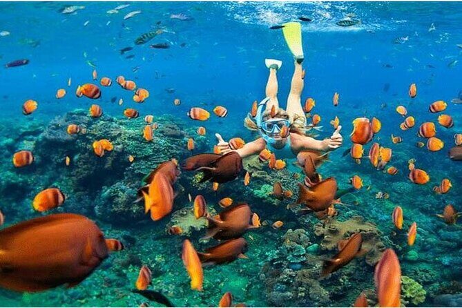 Nusa Penida Trip with Snorkeling all-Inclusive - What Makes This Tour Stand Out?