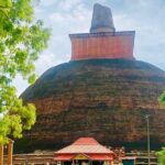 Nuwara eliya day tour from Kandy - Considerations for Potential Travelers