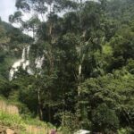 Nuwara Eliya Half Day Private Hiking and Sightseeing Tour - Authentic Experiences Highlighted by Travelers