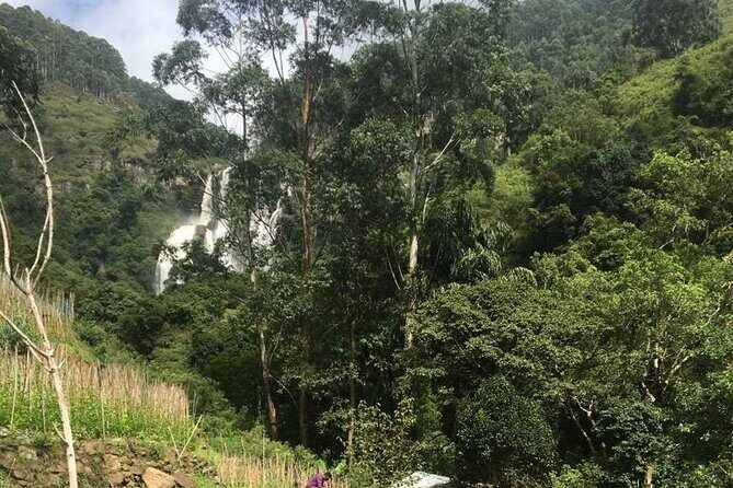 Nuwara Eliya Half Day Private Hiking and Sightseeing Tour - Authentic Experiences Highlighted by Travelers