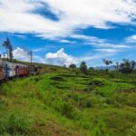 Nuwara Eliya journey by Train and car (2 Days with 01 Night) - Transport and Logistics: What You Should Know