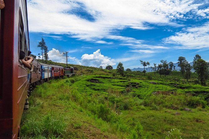 Nuwara Eliya journey by Train and car (2 Days with 01 Night) - Transport and Logistics: What You Should Know