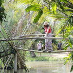 NYNA Travel: 7D6N HanoiNinh BinhHa LongHCMCMekong Delta - Practical Considerations