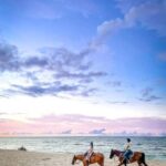 Oahu: Horseback Riding Tour on the North Shore - The Value Proposition
