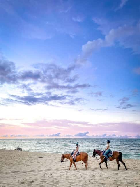 Oahu: Horseback Riding Tour on the North Shore - The Value Proposition