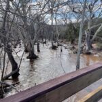 Oak Creek Canyon, with Native American history and Chapel too! - Detailed Breakdown of the Itinerary