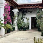 Oaxaca Walking Tour - What Makes This Tour Stand Out?