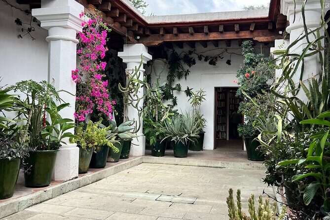 Oaxaca Walking Tour - What Makes This Tour Stand Out?