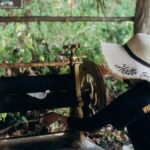 Observing Elephant Nature (NO RIDING NO BATHING) - The Value of This Tour