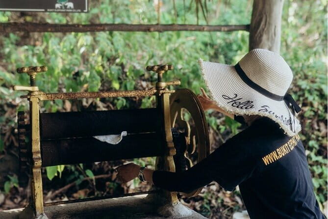 Observing Elephant Nature (NO RIDING NO BATHING) - The Value of This Tour