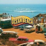 Ocean Beach San Diego Walking Tour Experience - What Travelers Say (Based on Reviews)