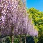 Odawara: Odawara Castle Tenshukaku Entrance Ticket - What You Can Expect on Your Visit