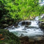 Off Road Safari Khao Lak - What Makes This Tour Stand Out