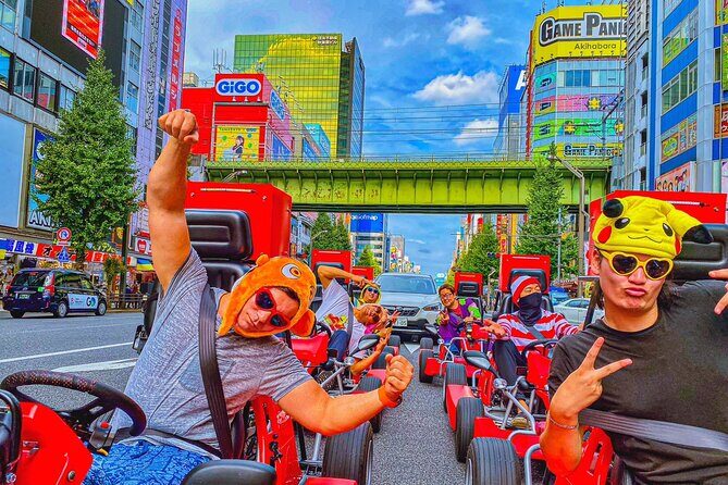 Official Street Go-Kart Tour - Akihabara - Who Should Consider This Tour?