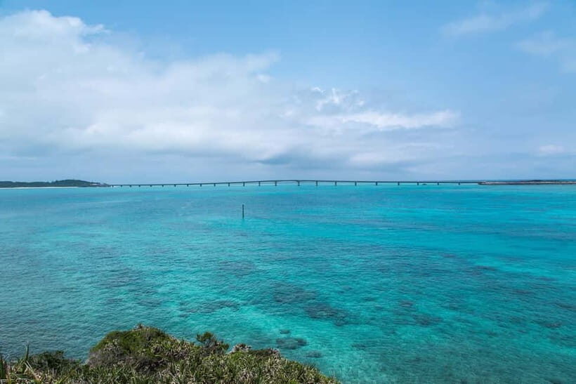Okinawa Classic Highlights & Flexible Routes: Private Tour - Who Is This Tour Best For?