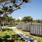 Okinawa Day Tour to the Top Sightseeing Spots - Authentic Experiences and Real Feedback