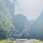 Okinawa E-bike Rental (CityCycle Type) - The Travel Experience in Detail