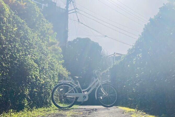 Okinawa E-bike Rental (CityCycle Type) - The Travel Experience in Detail