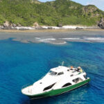 Okinawa: From Naha: Kerama Islands 1-day snorkeling tour - What Makes This Tour Stand Out?