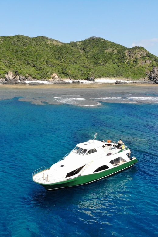 Okinawa: From Naha: Kerama Islands 1-day snorkeling tour - What Makes This Tour Stand Out?