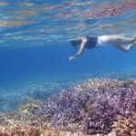 Okinawa Iriomote Snorkeling Tour at Coral Island - The Value of This Experience
