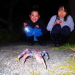 Okinawa Iriomotejima Night Adventure Tour - Authentic Encounters and Real Traveler Insights